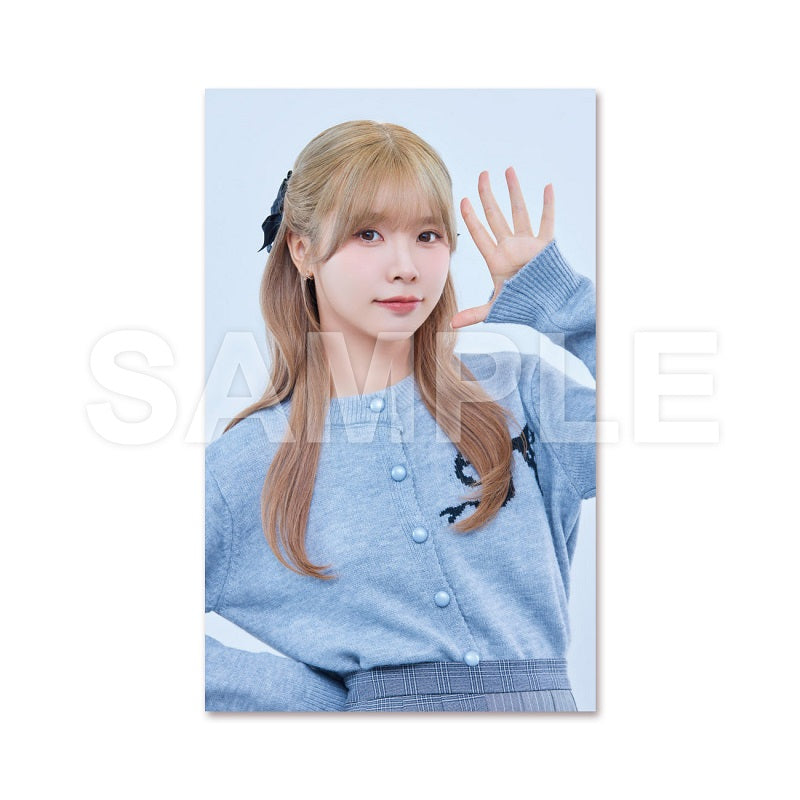 Liyuu 「5th Special Day」 ブラインドフォトカード 全6種 – YuU Koi Days Online Store